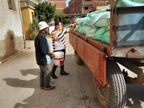 تموين الدقهلية ارتفاع المورد من محصول القمح إلى 309 آلاف طن الوطن
