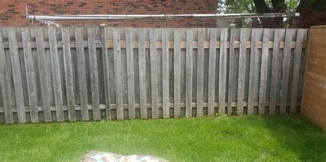 7′ To 8′ Trees The Cedar Guys