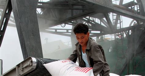 Alertan En El Consejo De Derechos Humanos De Grave Falta De Alimentos En Corea Del Norte Infobae