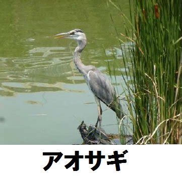 見次公園のTwitterイラスト検索結果 古い順