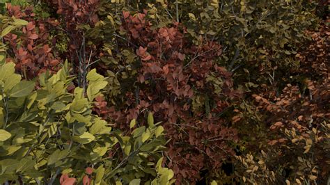 Improved Sapling Tree Generator Released Scripts And Themes Blender