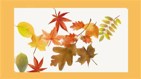 סתיו עכשיו חנה סתוי Youtube