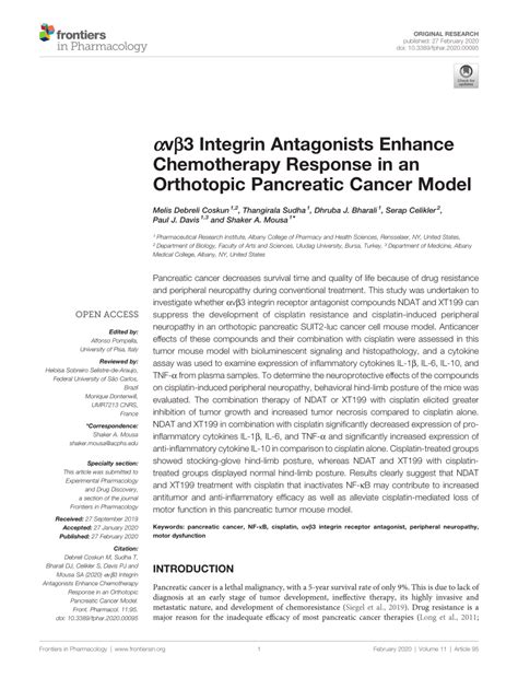 Pdf αvβ3 Integrin Antagonists Enhance Chemotherapy Response In An