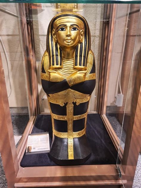 The Rare Outer Coffin Of The King Tutankhamun S Daughter Etsy