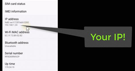 How To Find The IP Address Of Your Device Android IPhone