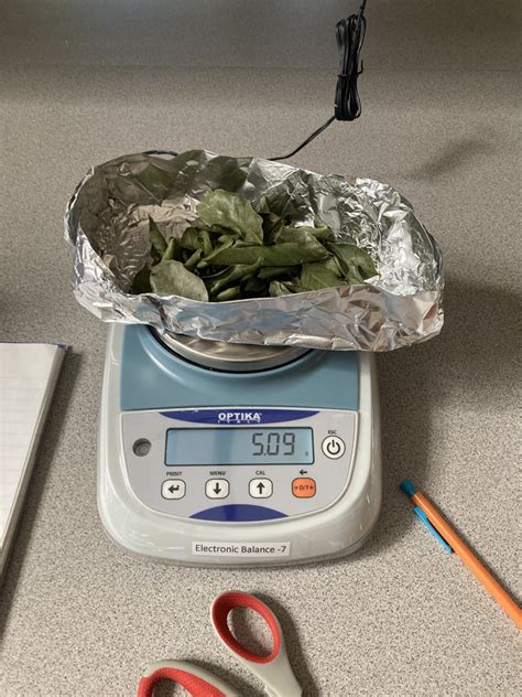 The Effect Of Discharge On Leaf Litter Decomposition In Tropical Streams Tropical Ecology