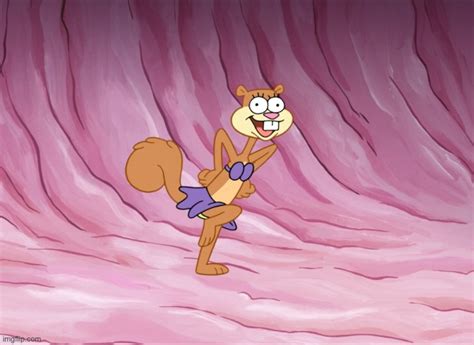 New Mocking Spongebob Member Mocking Sandy Feel Free To Use This