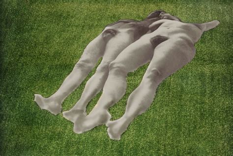 Exhibitions The Photographic Object Hauser Wirth