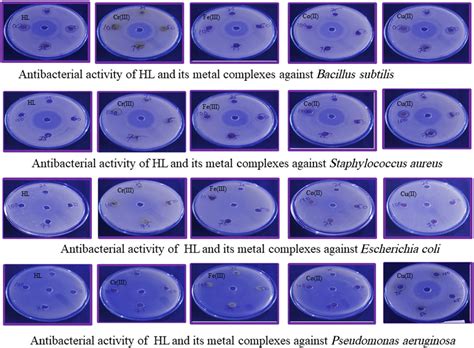 Antibacterial Activity Of The Ligand And Its Metal Complexes Download Scientific Diagram