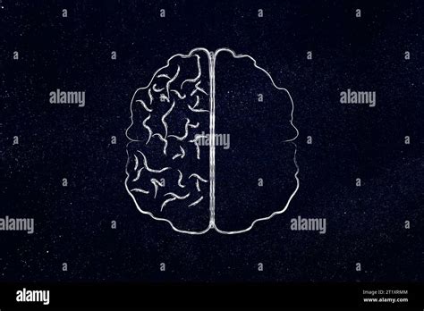 Lft Brain Vs Ight Brain Conceptual Illustration Brain With Empty Right