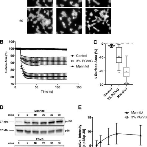 Logarithm Of The Numerically Constructed Objective Function Download Scientific Diagram