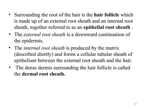 Sssssssssssssssssssssssssssssssssssssssssssssssssssss Ppt