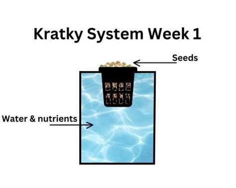 Diy Kratky Hydroponic System Grow Your Greens For Less Matt Magnusson