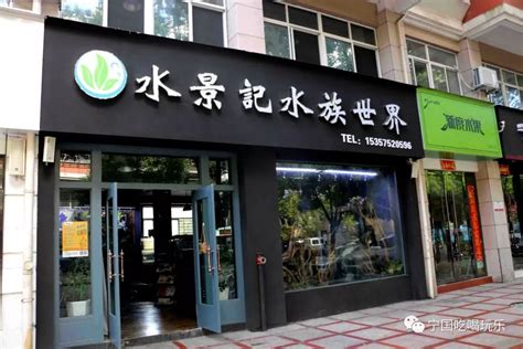 装在水族箱中的童话世界我在这家店找到了属于自己的秘密花园 水景