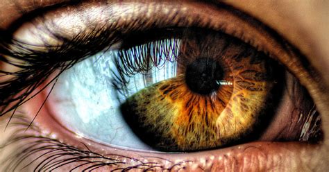 Remela nos olhos o que é e por que ela se forma