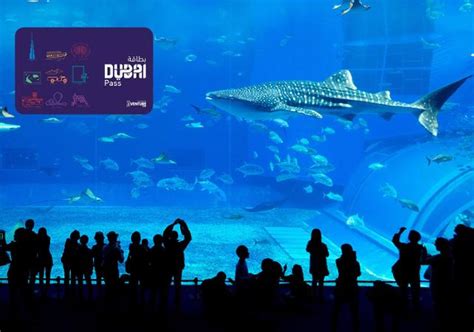 Iventure Card Dubai Unlimited Pass Unlimited Access To Over 30