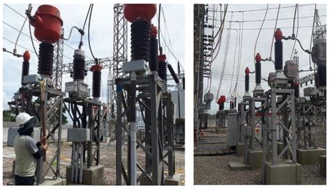 The Practical Application Of Bio Inspired Pma For The Detection Of Partial Discharges In High