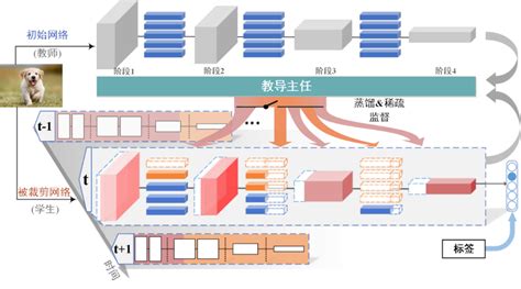 首次将教导主任引入模型蒸馏大规模压缩优于 种SOTA方法 极市开发者社区