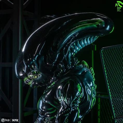 Npk Libido Deacon Version By Kcb Toy The Toy Chronicle