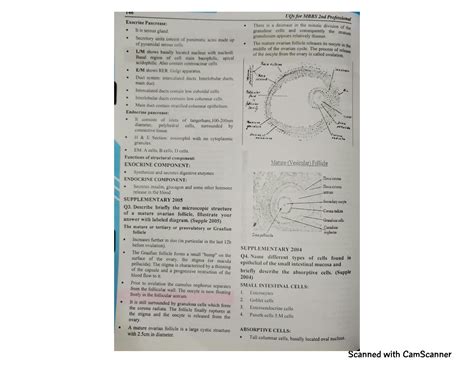 SOLUTION: Histology 2nd year Anatomy mbbs past papers - Studypool