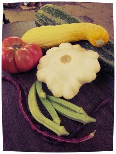 Elephantisl♥ve News From The Garden Spooky Bumpy Yellow Squash