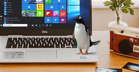 Cách di chuyển và chia sẻ file giữa Windows và Linux QuanTriMang