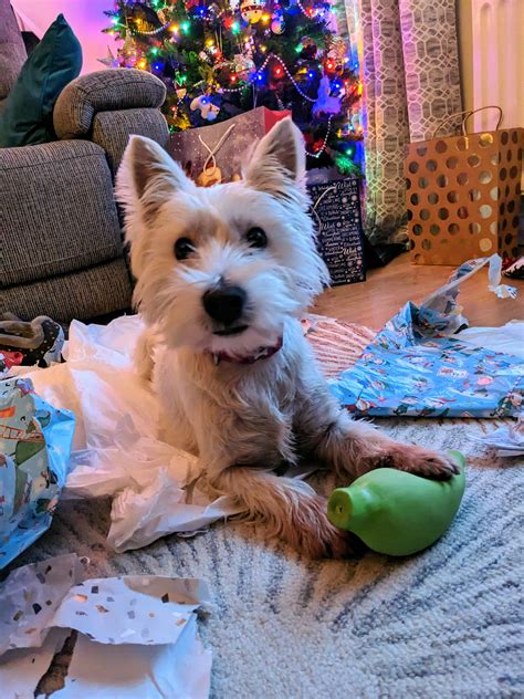 Ruby Dooby Doo Crafts