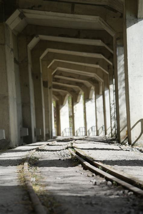 Dsc02862 子軒 張 Flickr