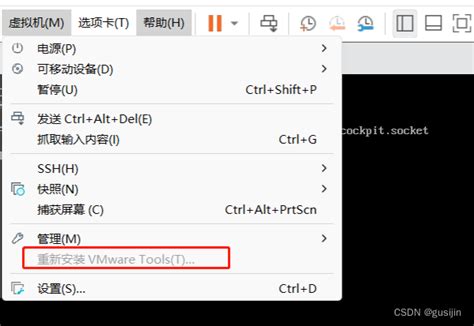 解决安装vmware Tools灰色问题，解决重新安装vmware Tools灰色问题vmtools灰色的怎么安装 Csdn博客