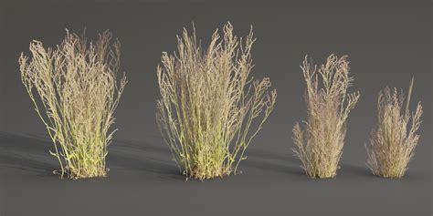 Low Poly Wild Grass Collection Vol 201 Blender 3dmodel Blender Market Low Poly Wild Grass Collection Vol 201 Blender 3dmodel Blender Market