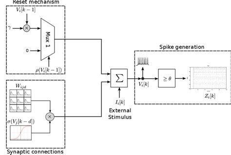 5 analog spiking neuron model download scientific diagram