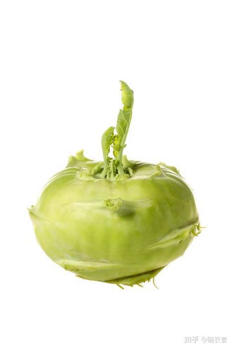 低卡高纤蔬菜 芜菁的吃法与营养价值 知乎