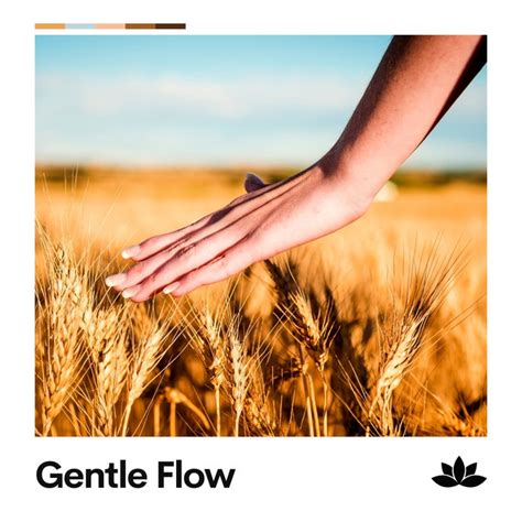 Gentle Flow Album By Easy Ambient Mind Body Soul Healing Meditation