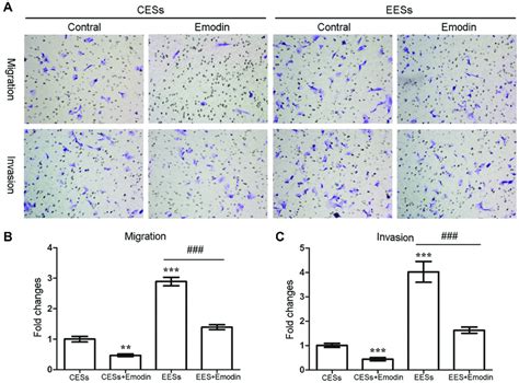 Emodin Inhibited The Migration And Invasion Abilities Of Endometrial