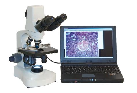 Digital Microscopes Market Strategies Optimizing Visual Inspection