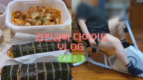 초고도비만 급찐급빠 다이어트 브이로그 Day 2 3 김밥 제육덮밥 사골 오토파지 삐약스핏 자덕 인터벌 Youtube