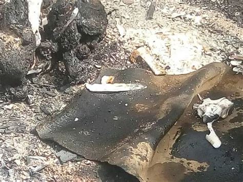 Many Burnt Beyond Recognition In A Terrible Accident In Kogigraphic