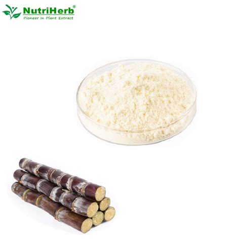 Wholesale Sugar Cane Wax Extract 98 Octacosanol Policosanol Powder