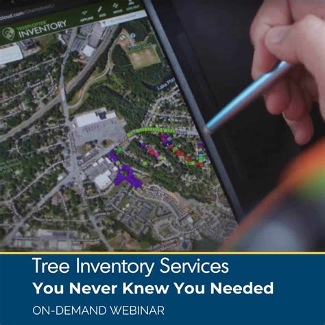 Tree Inventory Services You Never Knew You Needed Planit Geo™
