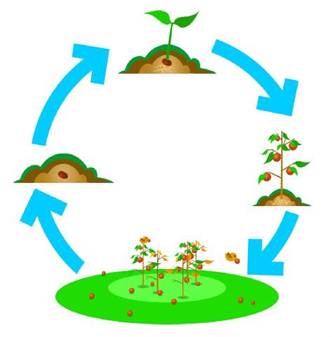 Figure 1 From Accelerating Vegetation Evolution With Mutation Strategy And Gbased Growth