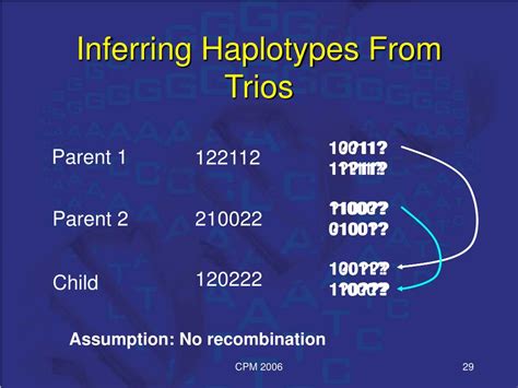 Ppt Snp And Haplotype Analysis Algorithms And Applications Powerpoint