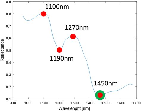 Illustration Of The Spectral Data Selection Blue Curve Hyperspectral Download Scientific