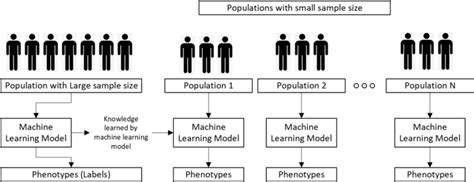 Basic Transfer Learning Mechanism For Genotype Data The Model Trained Download Scientific