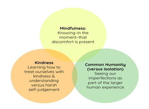 How Can Self Compassion Be A Component Of Our Wellness Journey