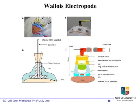 Ppt Eeg Fnirs Fusion For Practical Brain Computer Interfaces Powerpoint Presentation Id 6506071