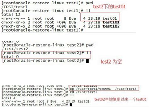 Linux中怎么拷贝文件到指定目录下？360问答
