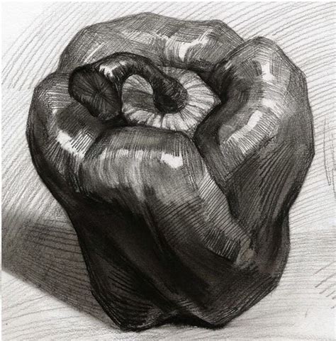 Ошибка 429 | Disegni a carboncino, Disegno natura morta, Disegno ritratti