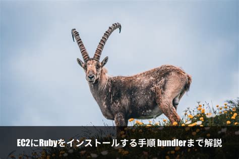 EC にrubyをインストールする手順 rbenvからbundlerの解説 HITOログ