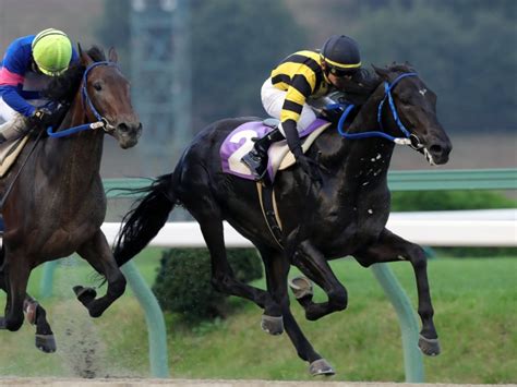 【若駒賞予想】ダート4戦4勝のリュウノシンゲンの1強かnarレース展望 競馬ニュース Netkeiba