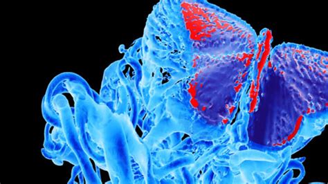 Weather And Chaos The Work Of Edward N Lorenz Labocine